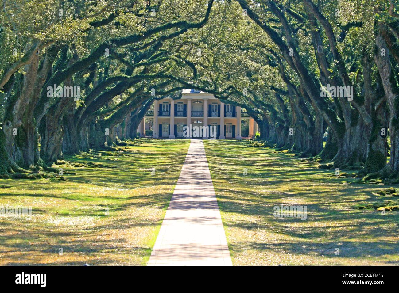 Oak Alley Plantation, Vacherie, Louisiana Stock Photo - Alamy