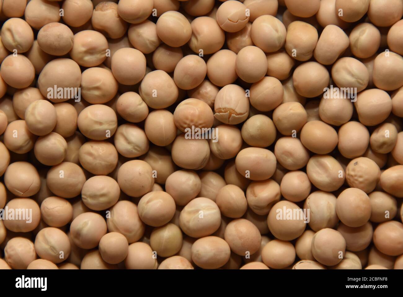 Vatana white hi-res stock photography and images - Alamy