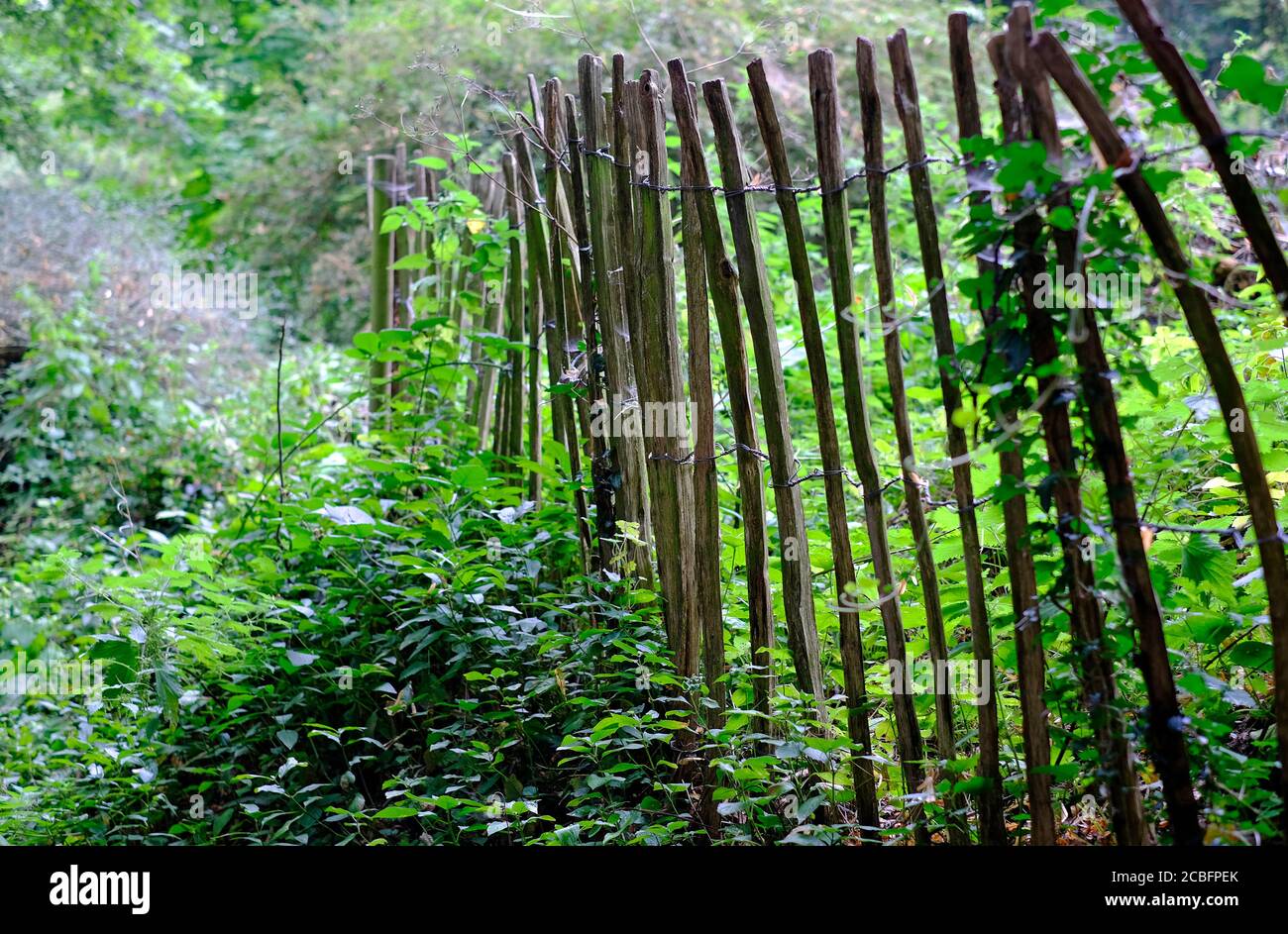 Wooden fencing hi-res stock photography and images - Alamy