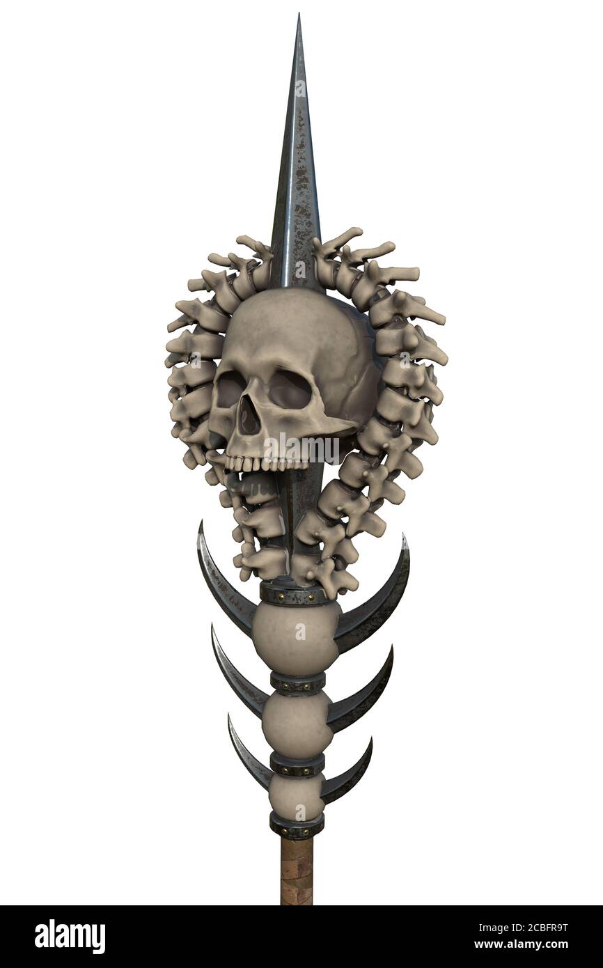 staff with a skull wooden with metal inserts on an isolated white ...