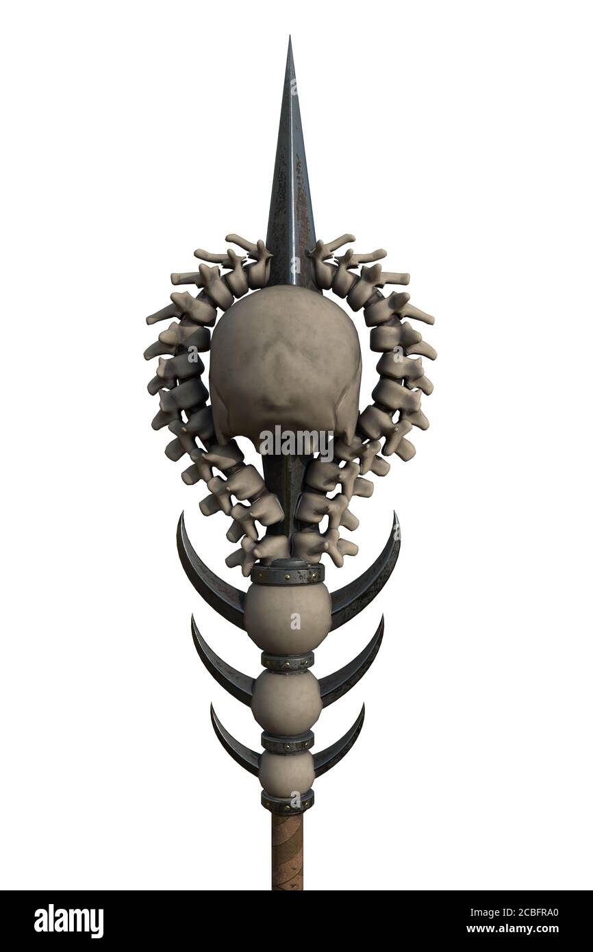 staff with a skull wooden with metal inserts on an isolated white ...