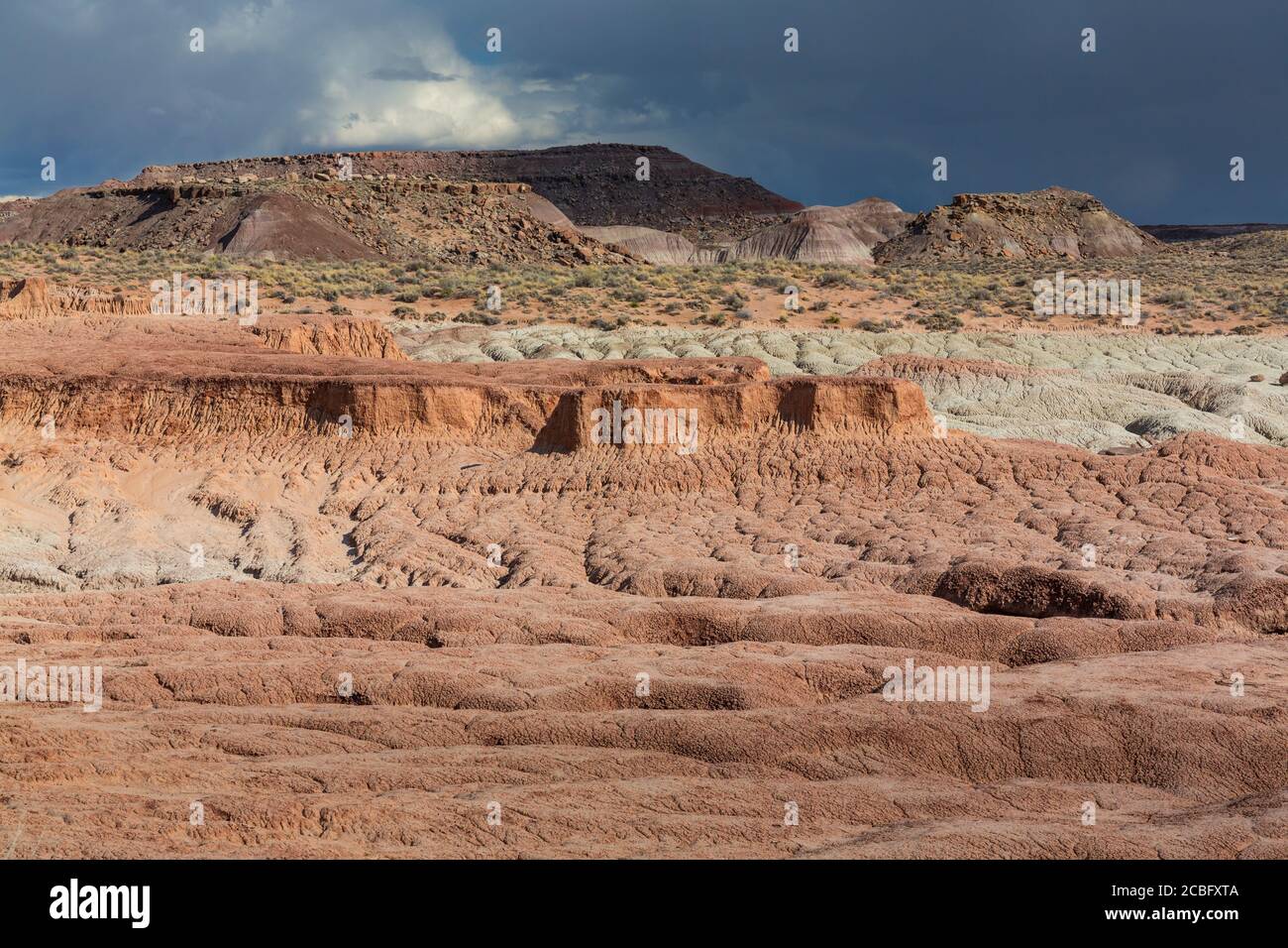Badlands, Petrified Forest National Park, Arizona, USA, America Stock ...