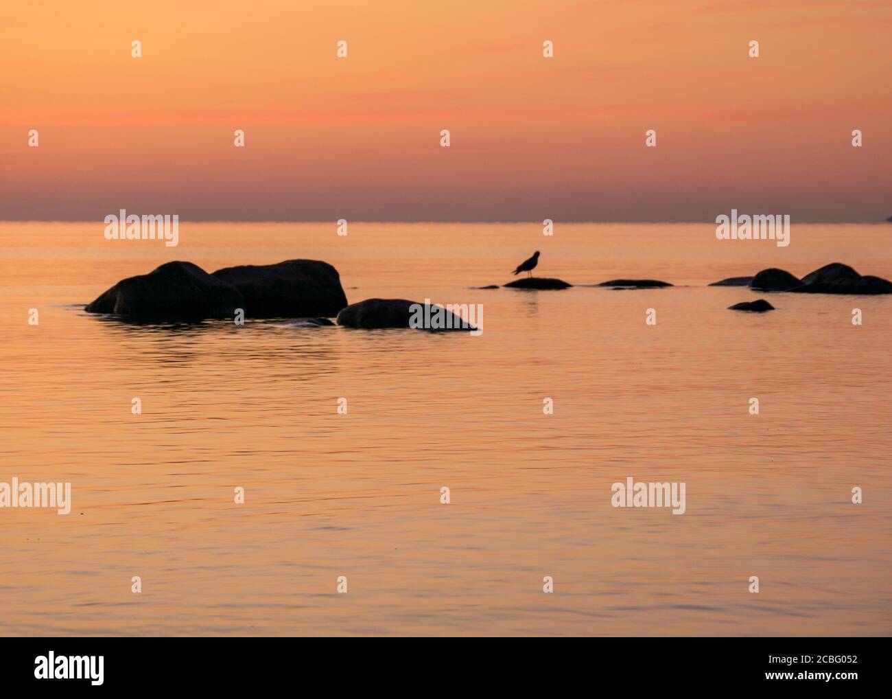 orange sunset by the sea, black stone and bird silhouettes against the ...