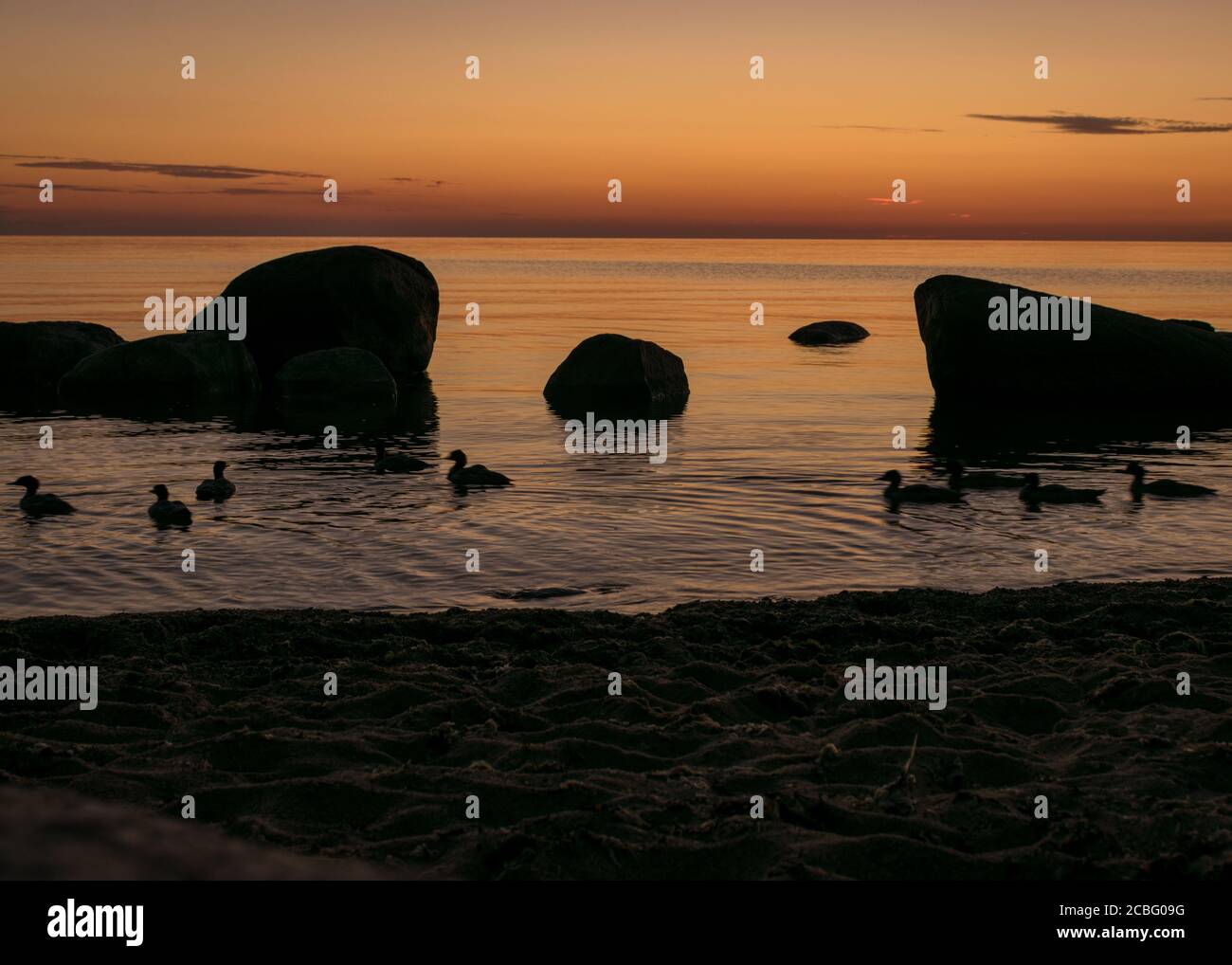 orange sunset by the sea, black stone and bird silhouettes against the ...