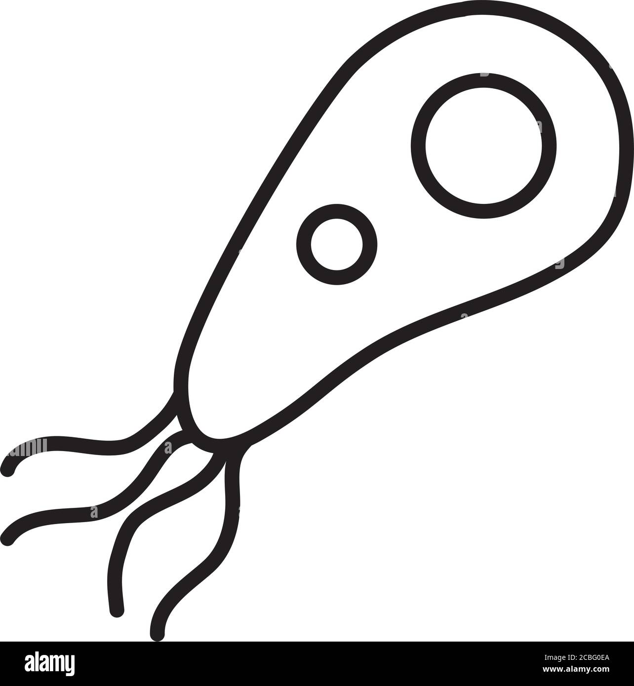 helicobacter bacteria icon over white background, line style, vector ...