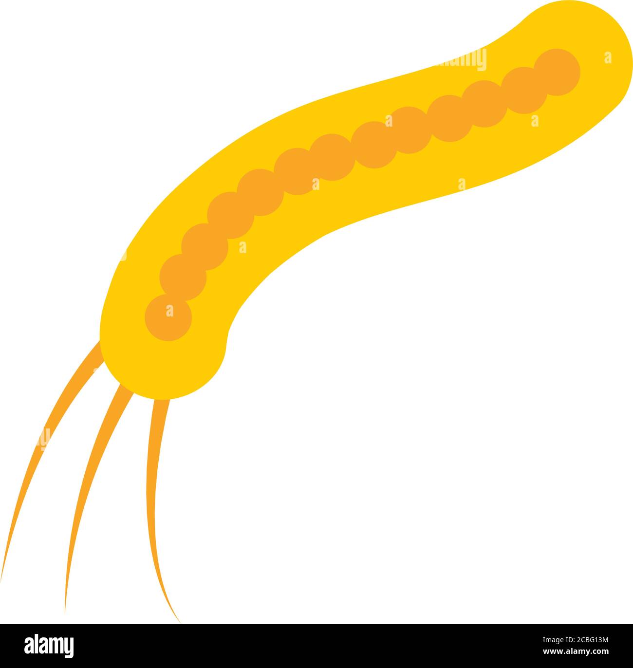 ebola filovirus icon over white background, flat style, vector ...