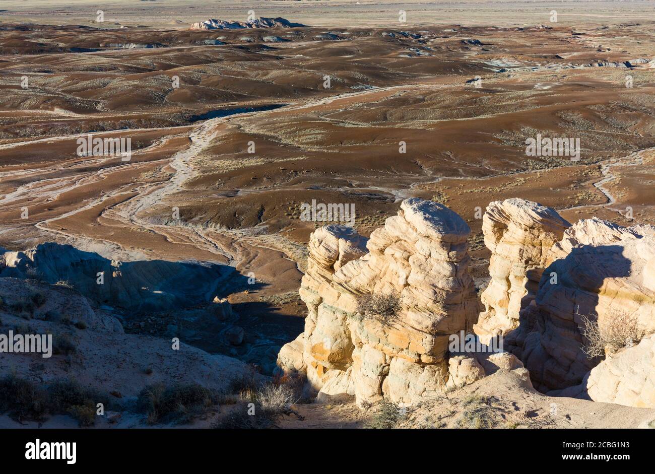 Badlands, Petrified Forest National Park, Arizona, USA, America Stock ...