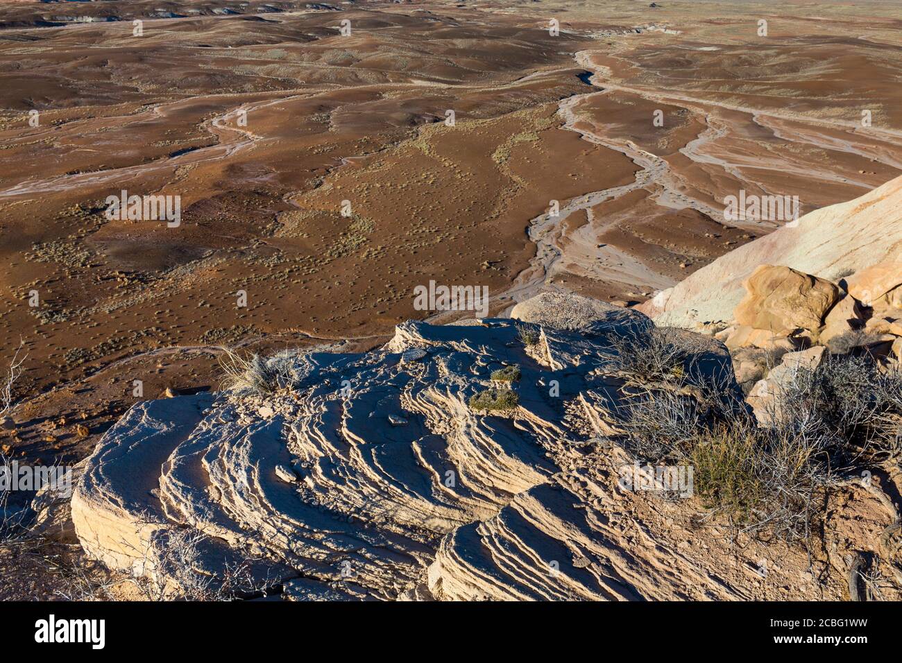 Badlands, Petrified Forest National Park, Arizona, USA, America Stock ...