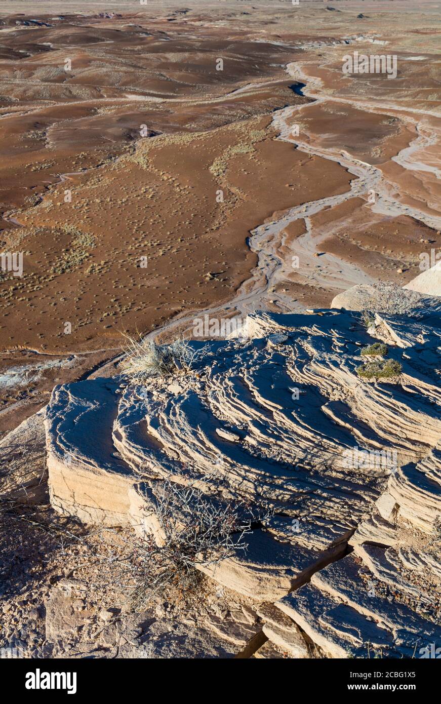 Badlands, Petrified Forest National Park, Arizona, USA, America Stock ...