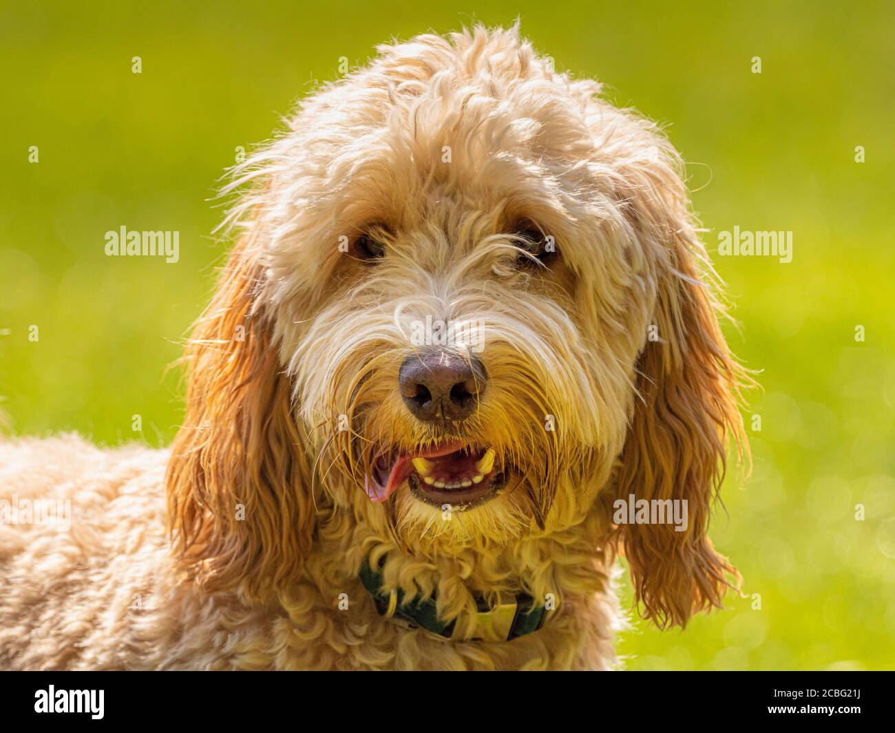 Keeping cool hi-res stock photography and images - Alamy