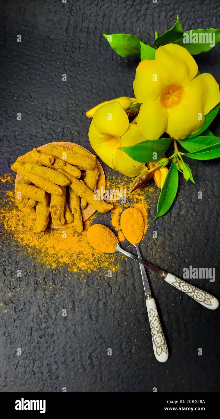 Turmeric, (Curcuma longa) with yellow flowers isolated on black ...