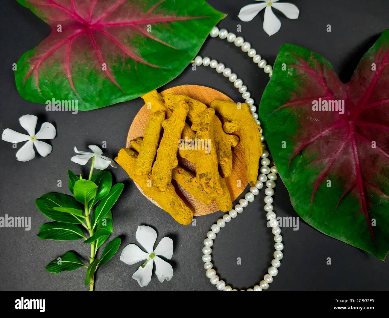 Turmeric, (Curcuma longa) with yellow flowers isolated on black ...