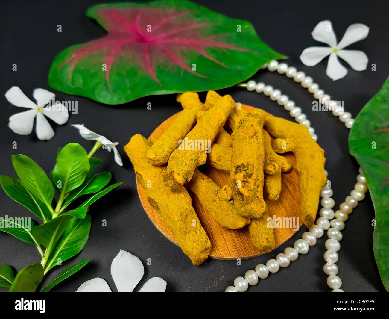 Turmeric, (Curcuma longa) with yellow flowers isolated on black ...