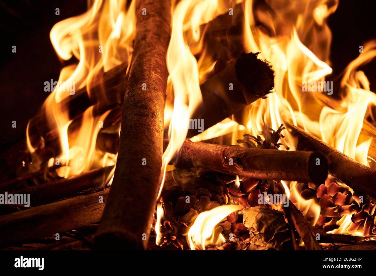 a close up view of firewood and pinecone on fire flames on the barbeque ...
