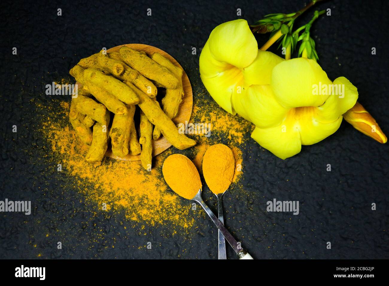 Turmeric, (Curcuma longa) with yellow flowers isolated on black ...