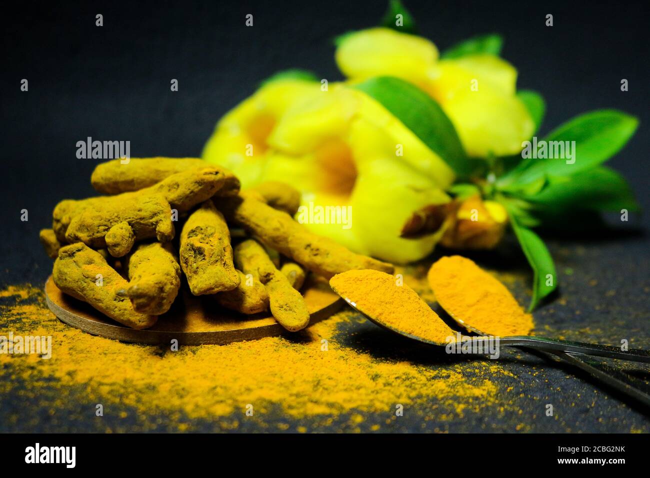 Turmeric, (Curcuma longa) with yellow flowers isolated on black ...