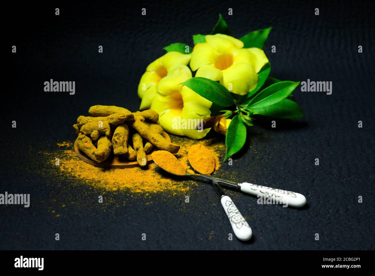Turmeric, (Curcuma longa) with yellow flowers isolated on black ...