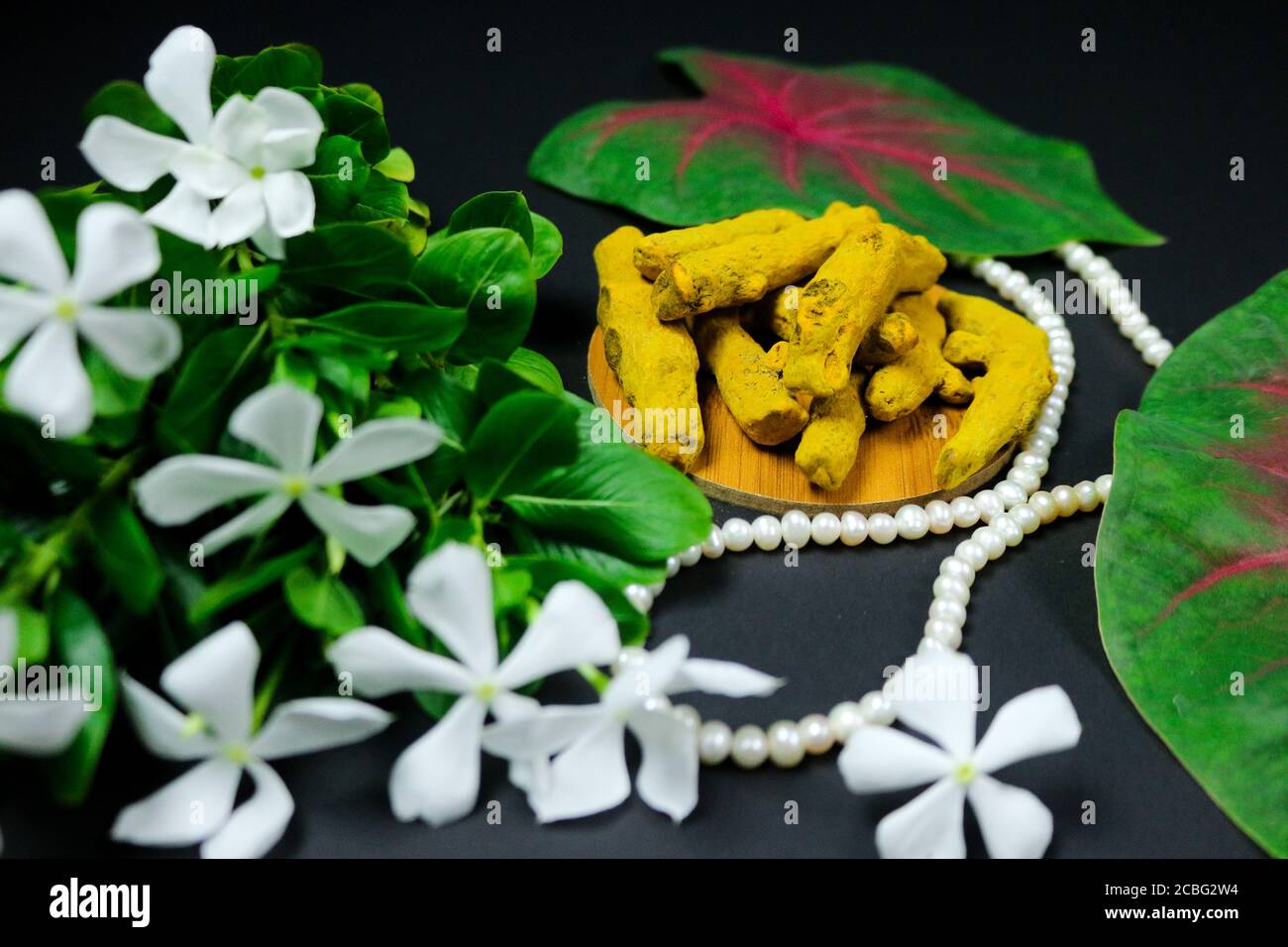 Turmeric, (Curcuma longa) with yellow flowers isolated on black ...