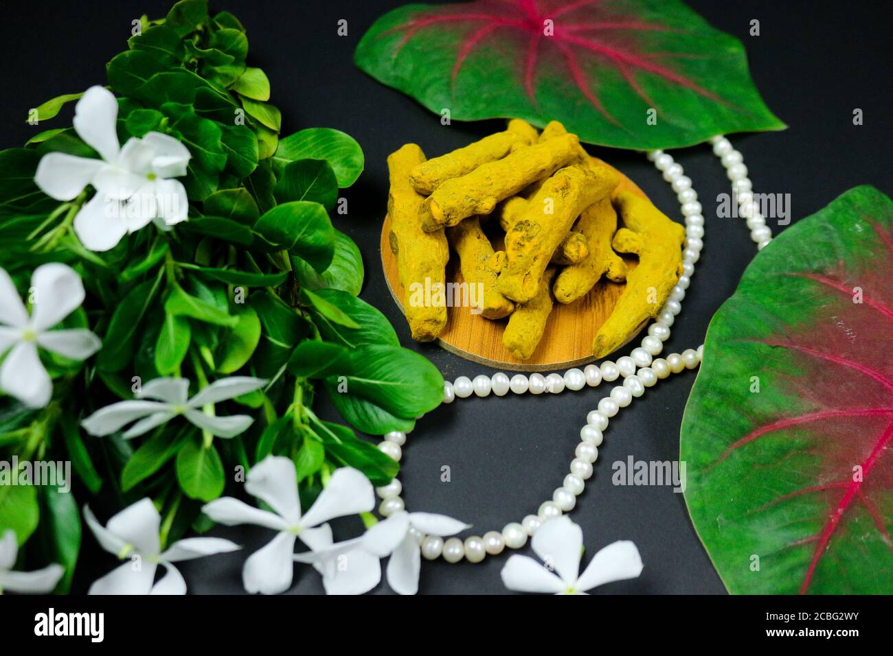 Turmeric, (Curcuma longa) with yellow flowers isolated on black ...