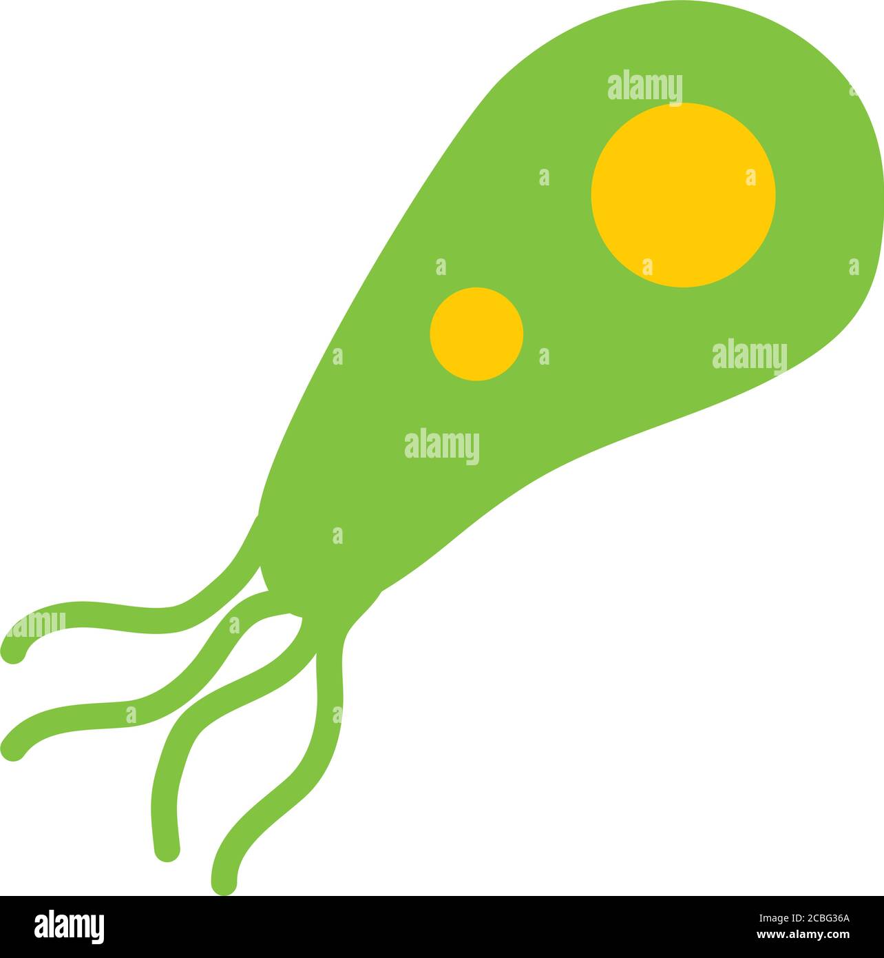 helicobacter bacteria icon over white background, flat style, vector ...