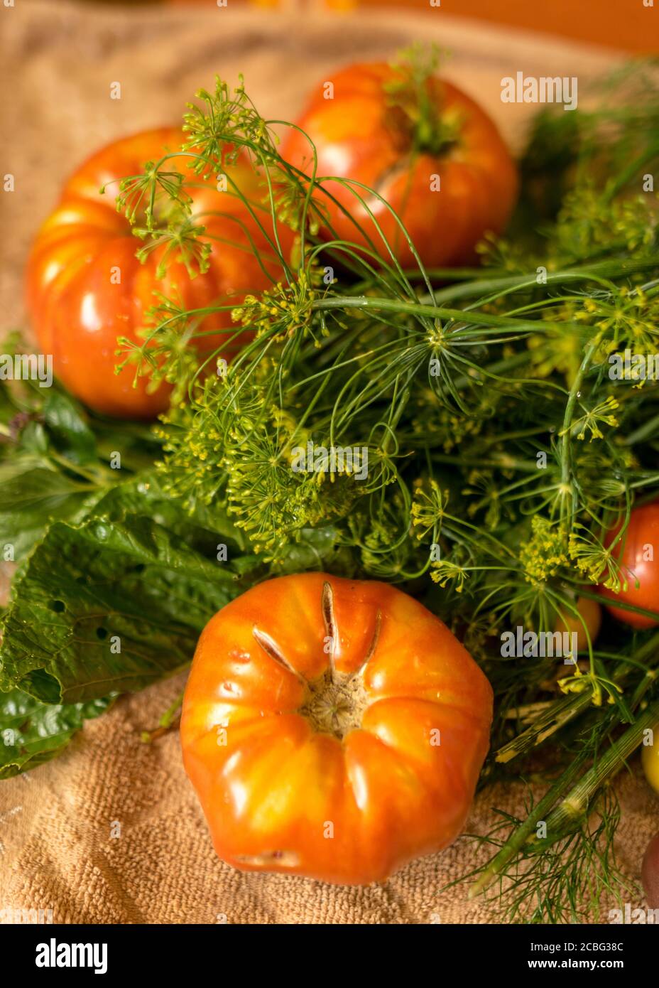 tomatoes of different shapes, colors and sizes, harvest time, summer ...