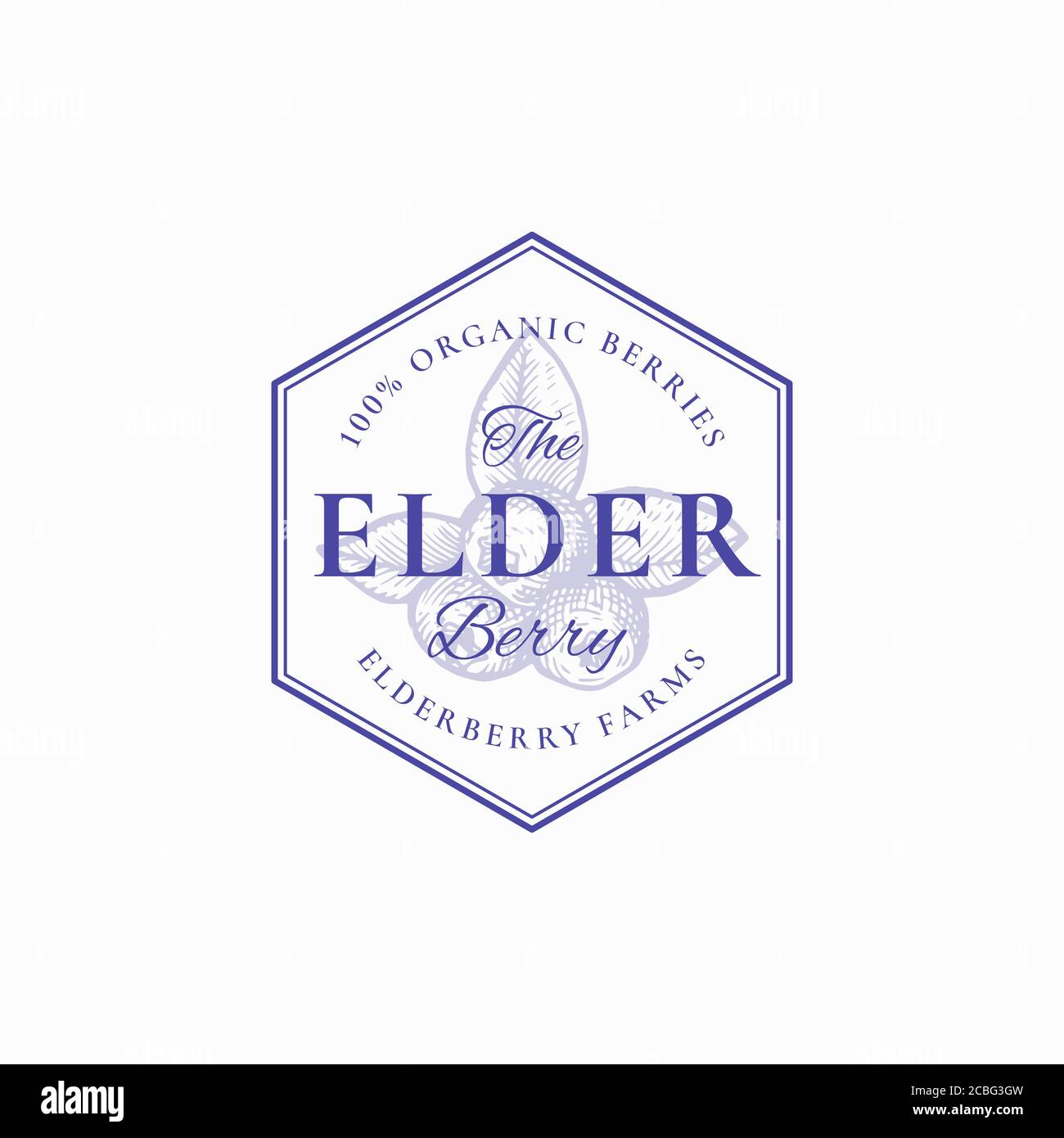 Elderberry Farm Badge or Logo Template. Hand Drawn Berries with Leaves ...