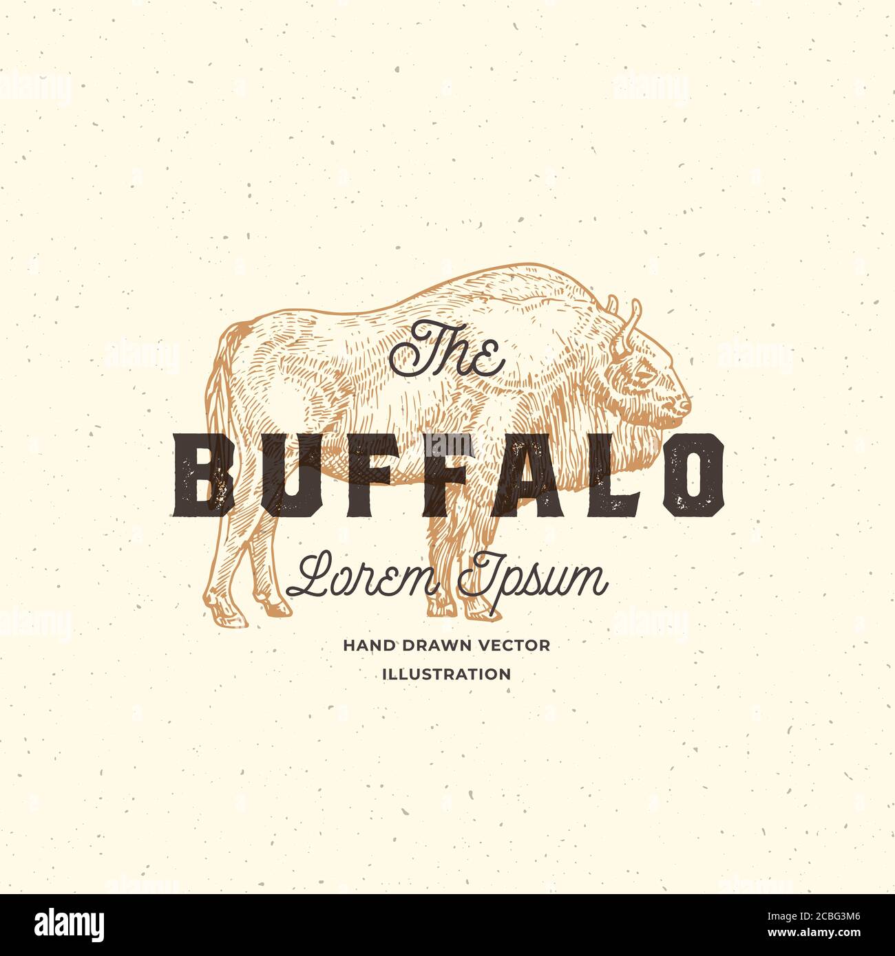 The Buffalo Abstract Vector Sign, Symbol or Logo Template. Hand Drawn ...