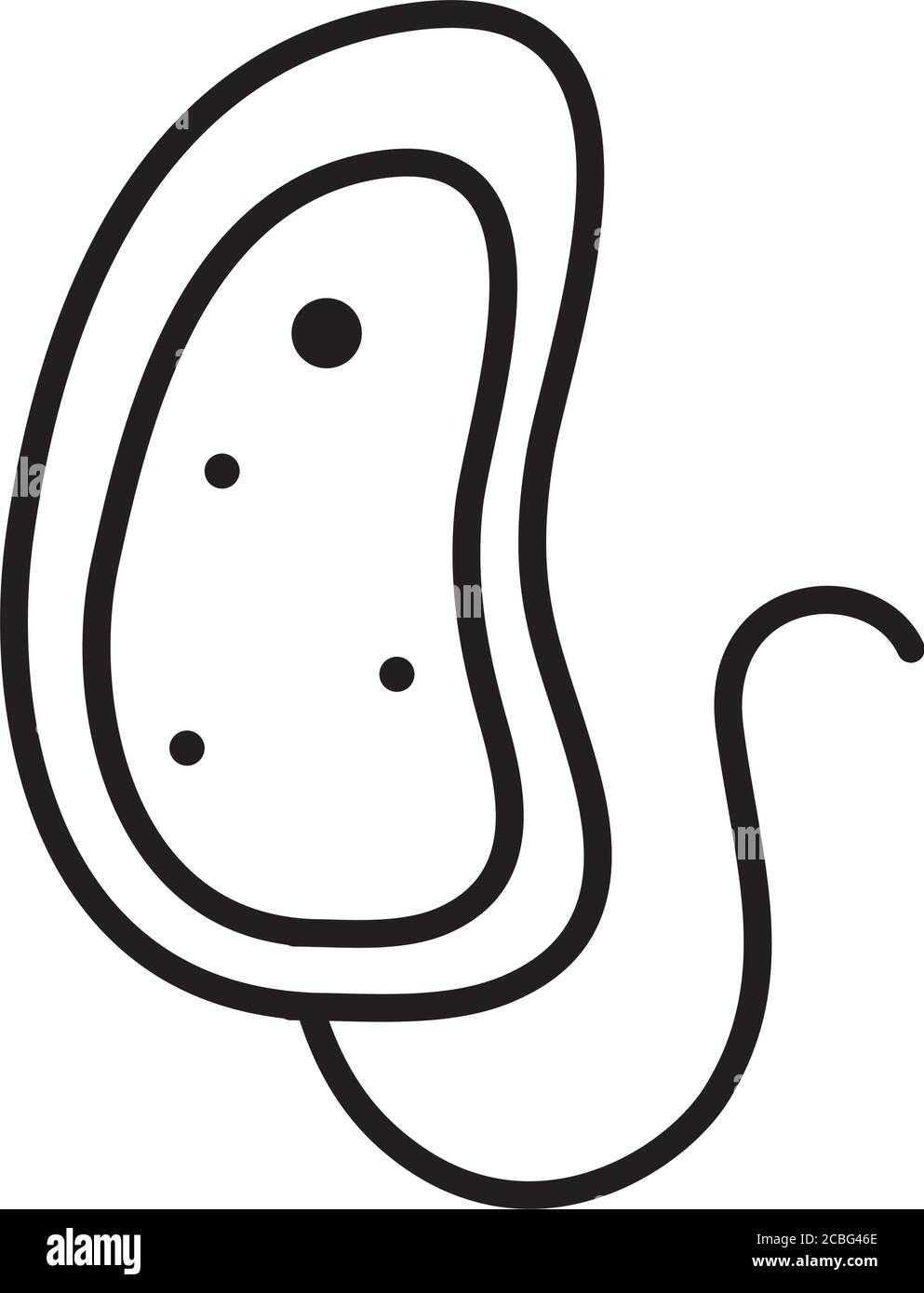 Vibrios Bacteria Shape Icon Over White Background Line Style Vector Illustration Stock Vector