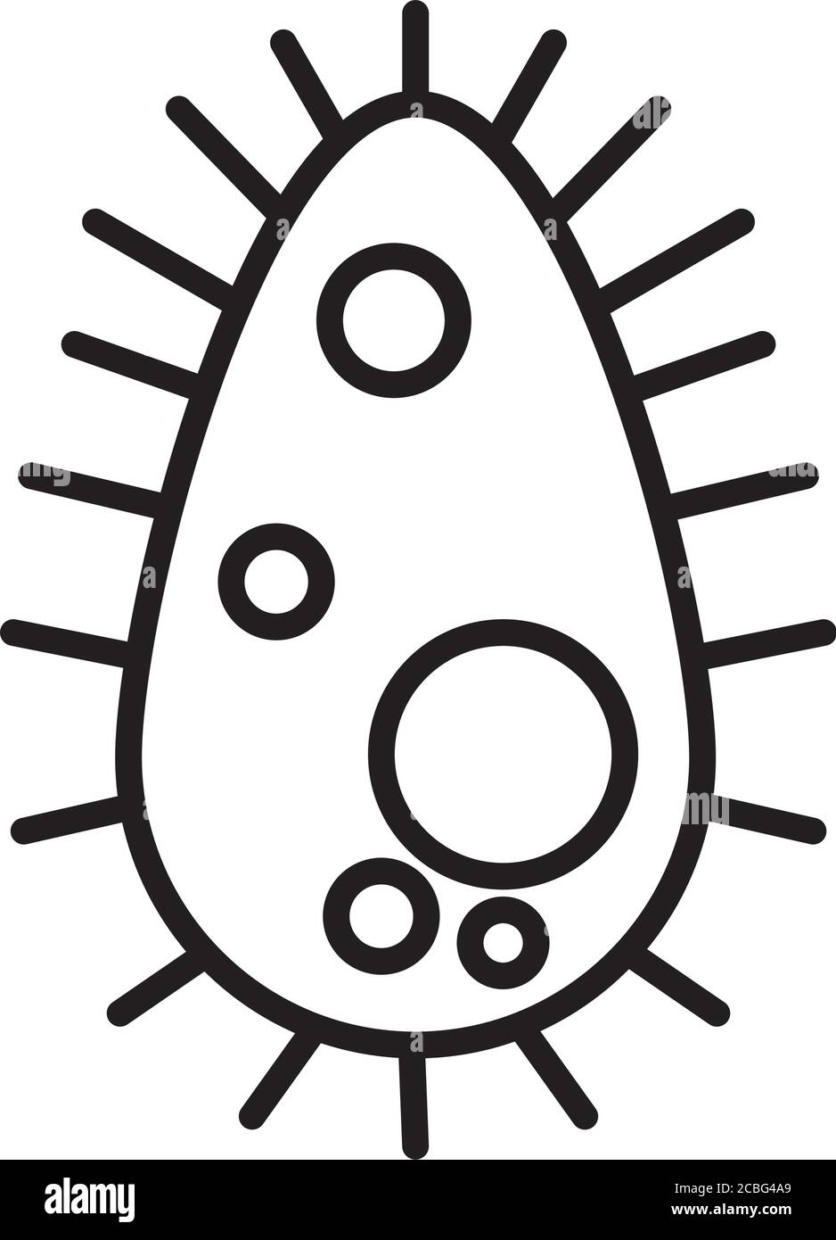 E.coli Bacteria High Resolution Stock Photography and Images - Alamy