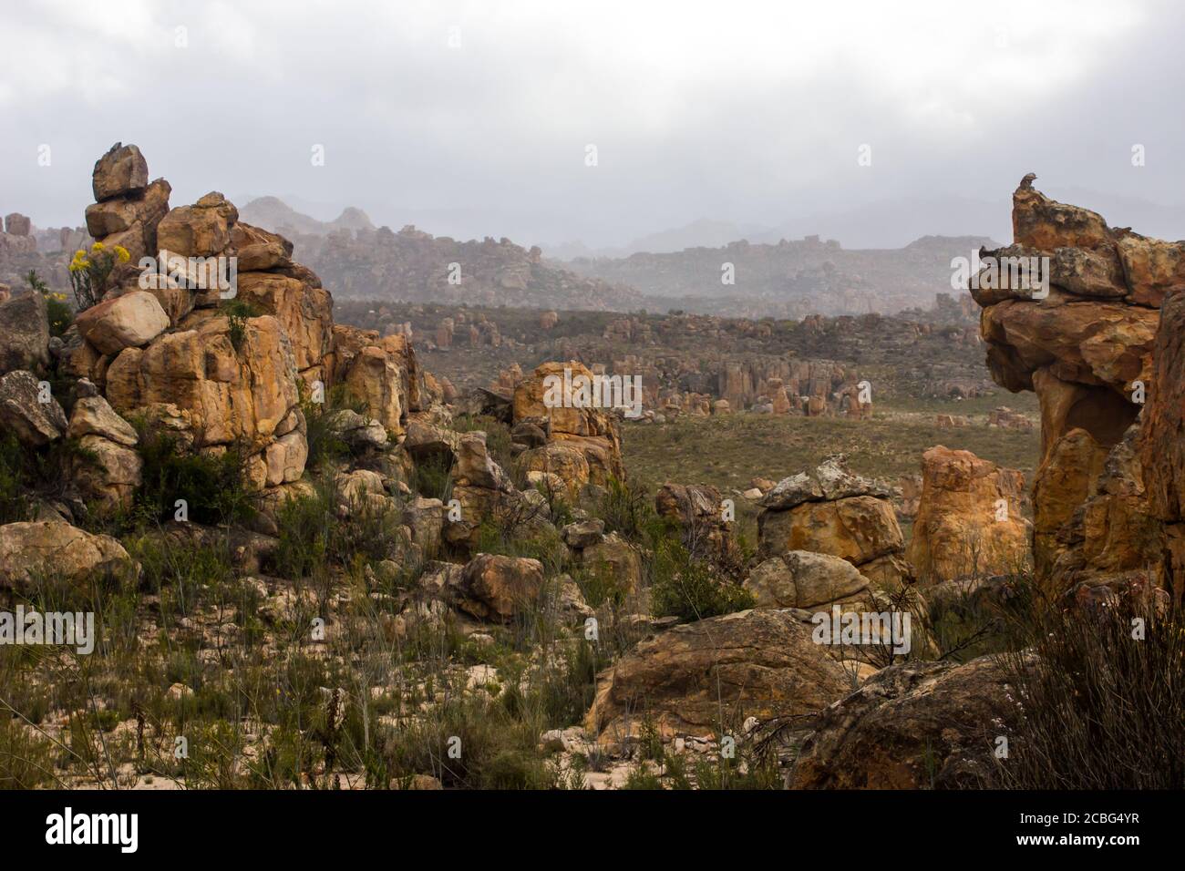 The Reddish brown weathered Sandstone Blocks of the Table Mountain ...