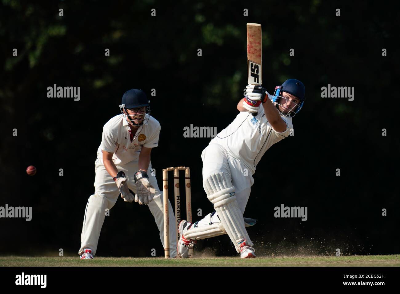 Batsman in action Stock Photo - Alamy