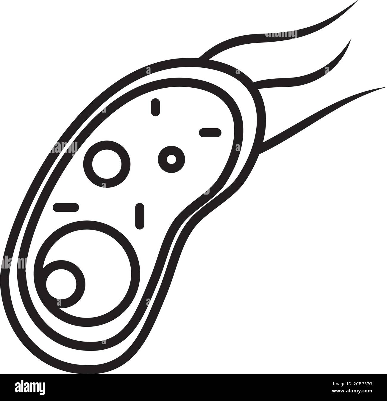 bacteria of cholera icon over white background, line style, vector ...