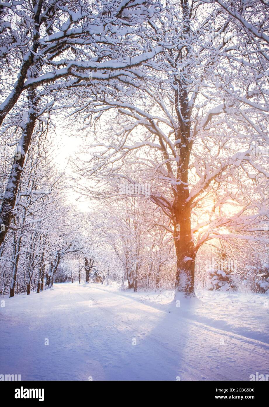 Cold Winter Morning