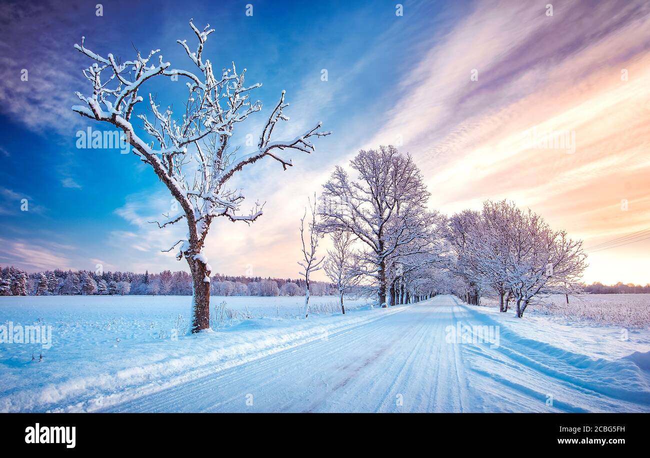 Cold Winter Morning