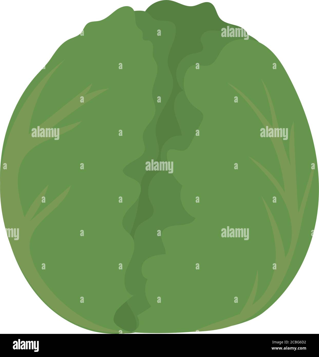 lettuce design, Vegetable organic food healthy fresh natural and market ...