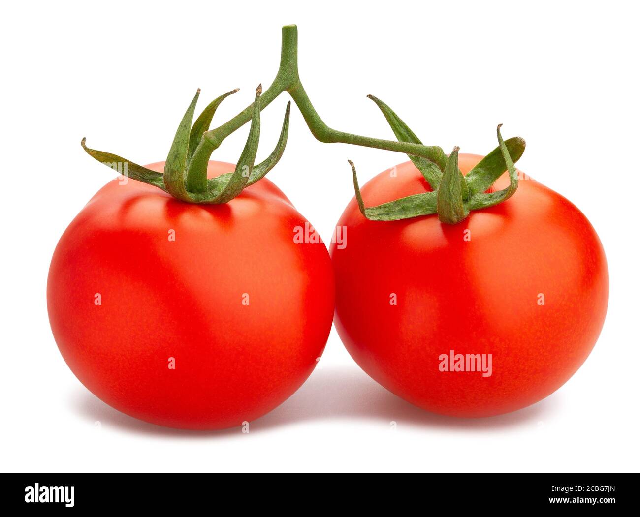 tomato path isolated on white Stock Photo - Alamy