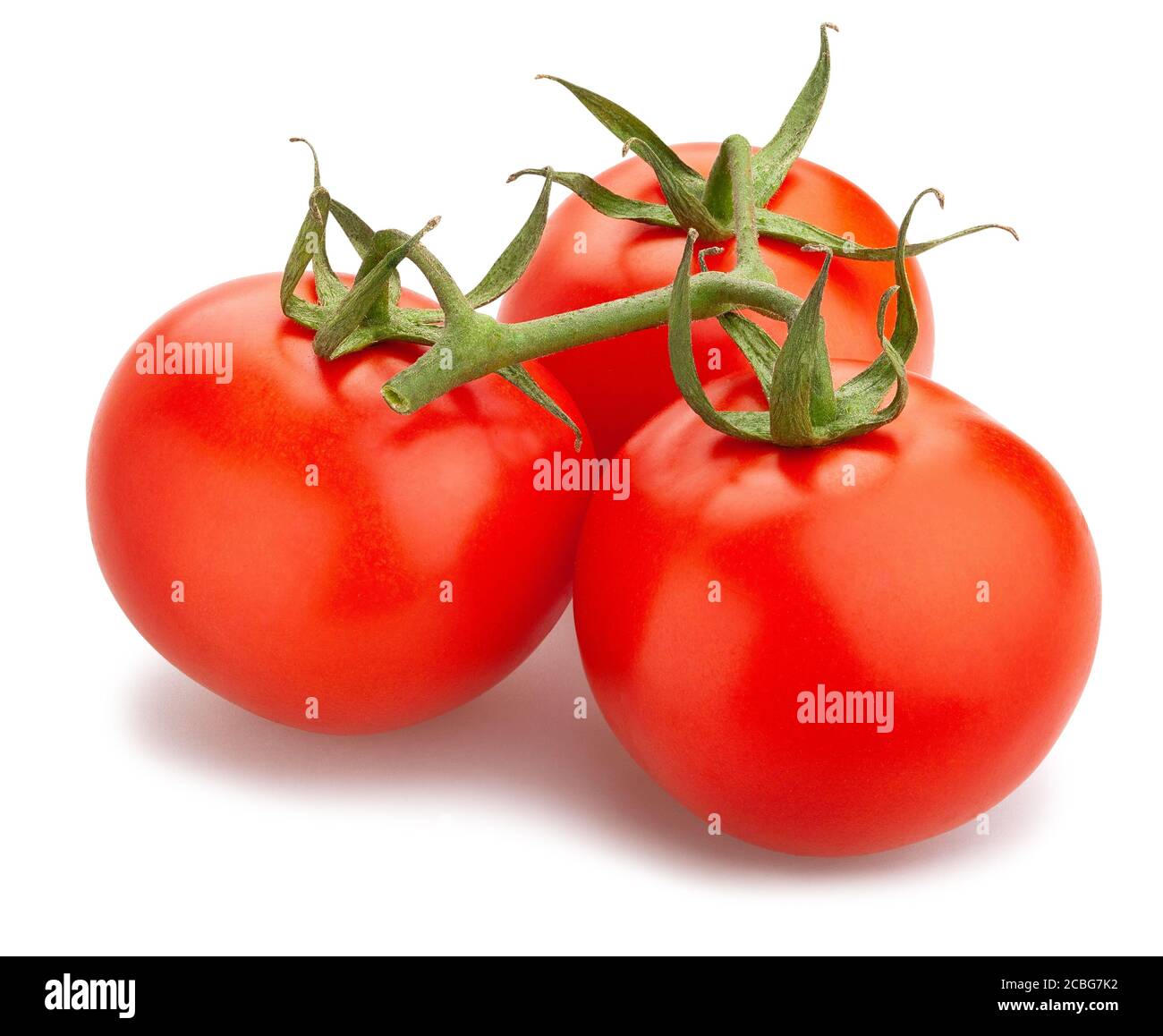 tomato path isolated on white Stock Photo - Alamy