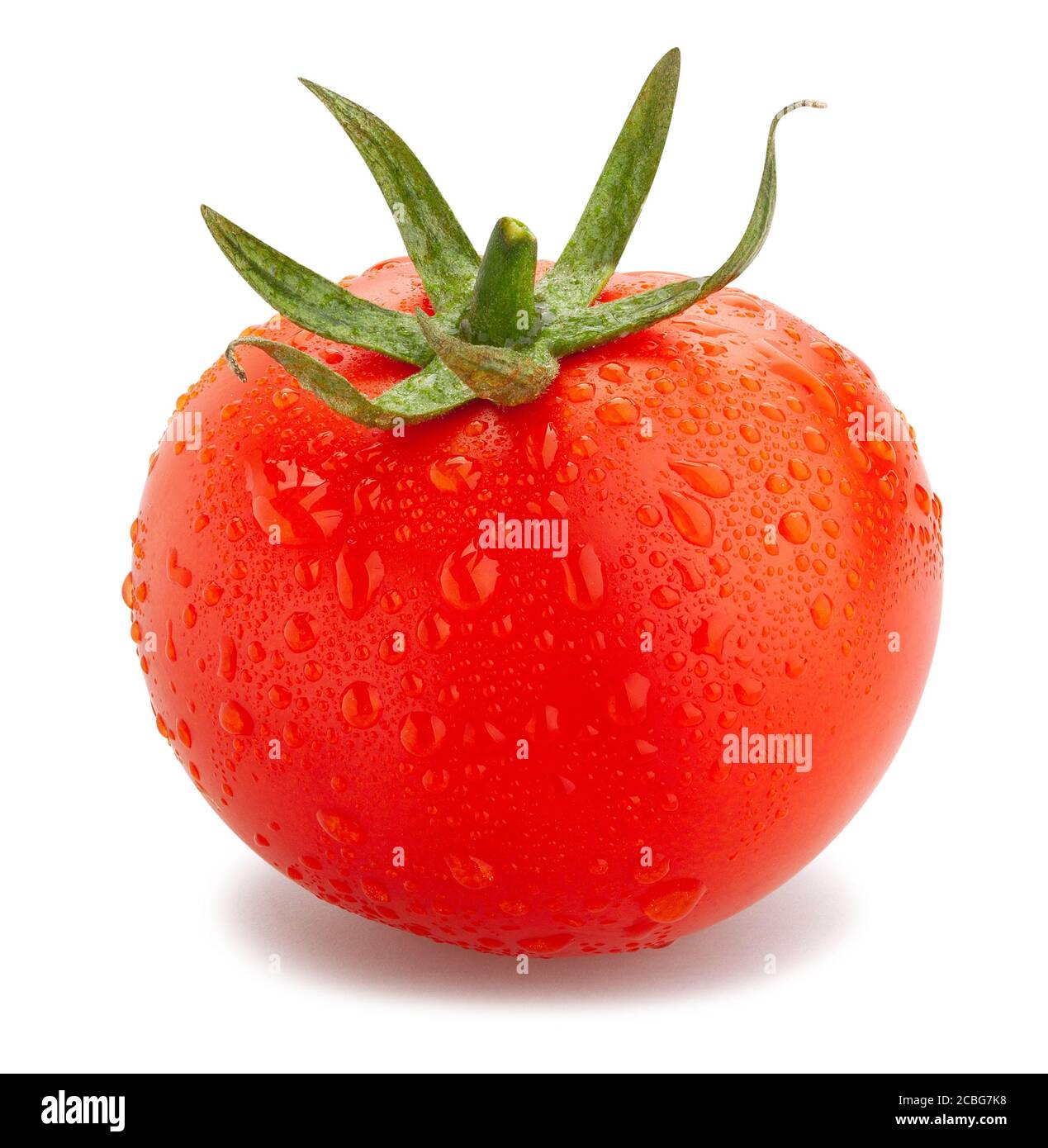 tomato path isolated on white Stock Photo - Alamy