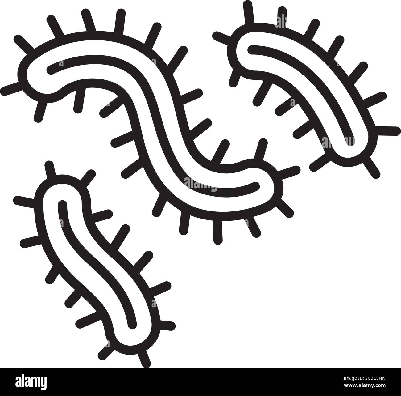 bacillis bacterias shapes icon over white background, line style ...