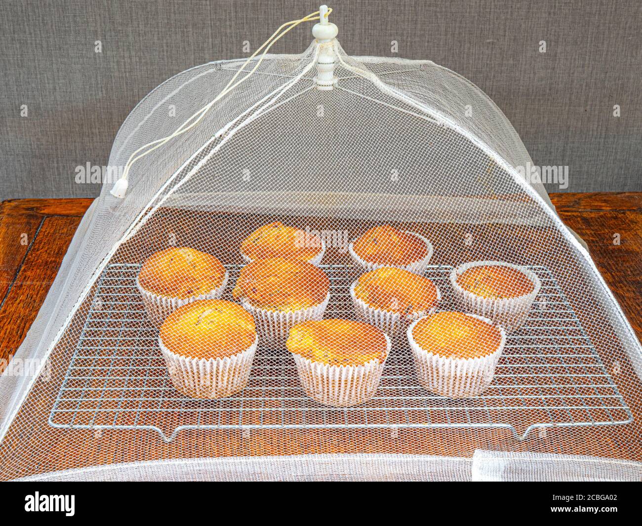 Food cover table net hi-res stock photography and images - Alamy