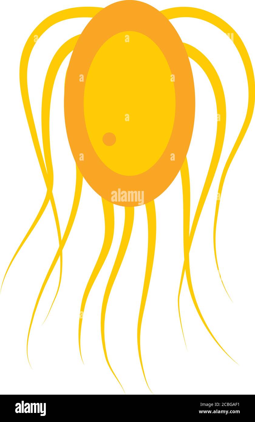 bacteria of salmonella icon over white background, flat style, vector ...