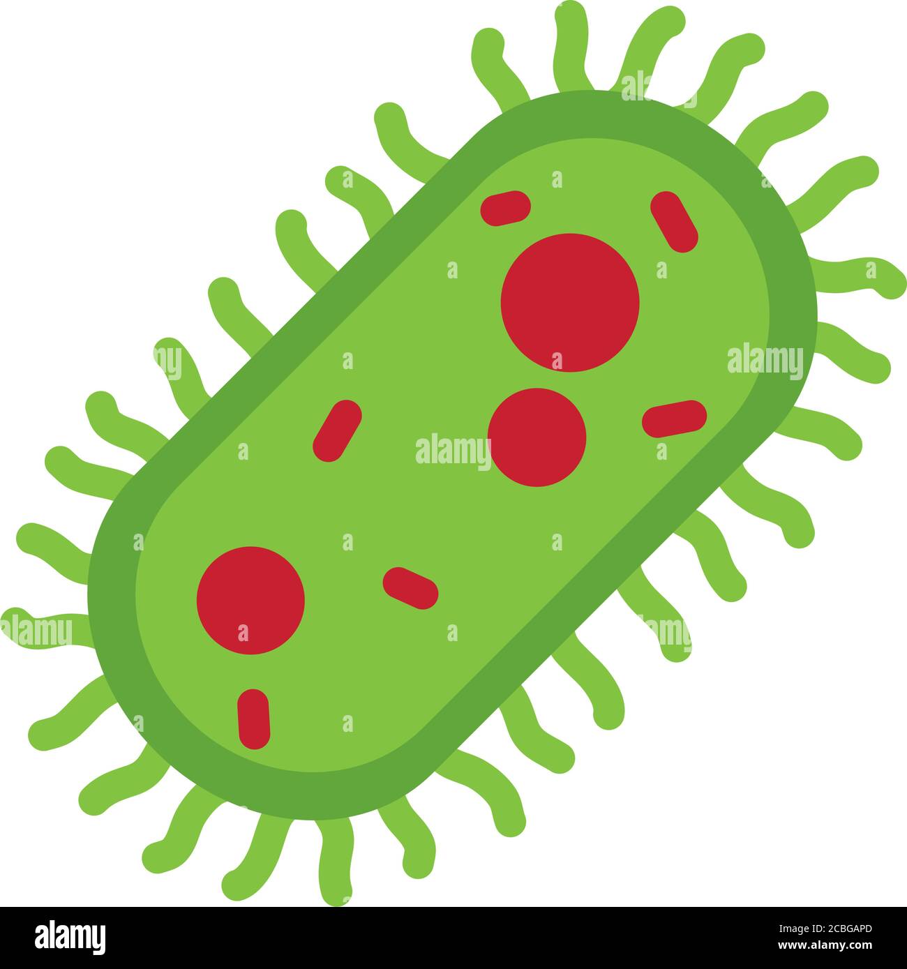 bacteria shape icon over white background, flat style, vector ...
