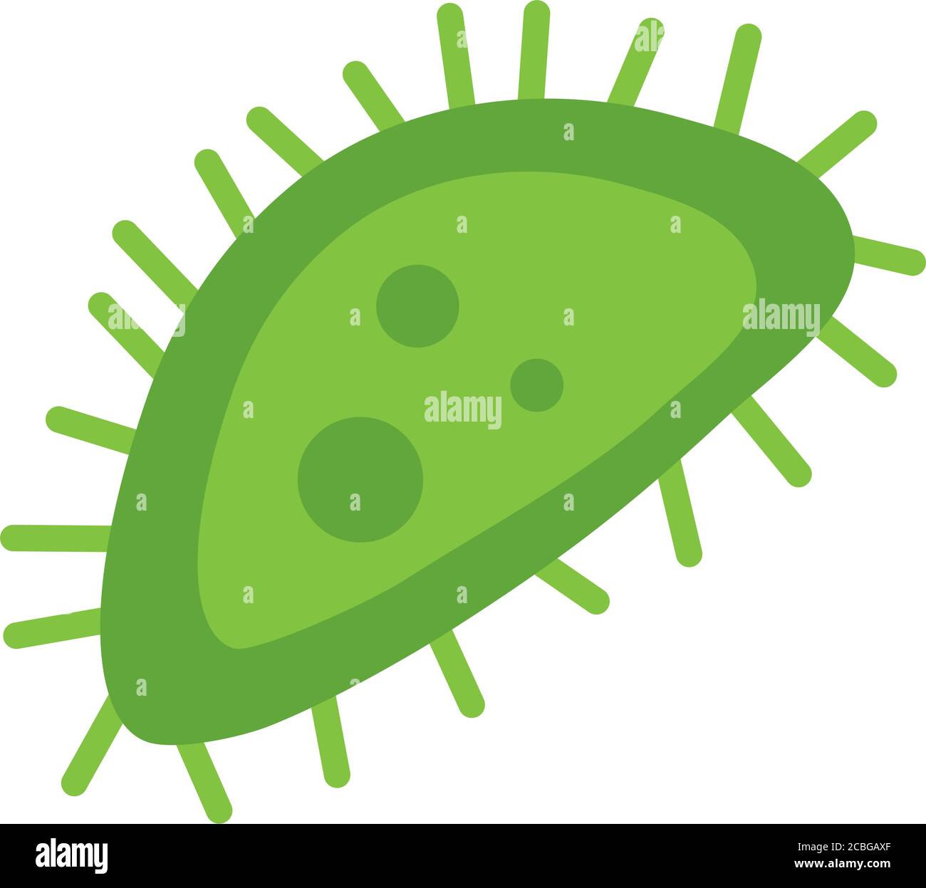 Vibrio cholerae bacteria hi-res stock photography and images - Alamy