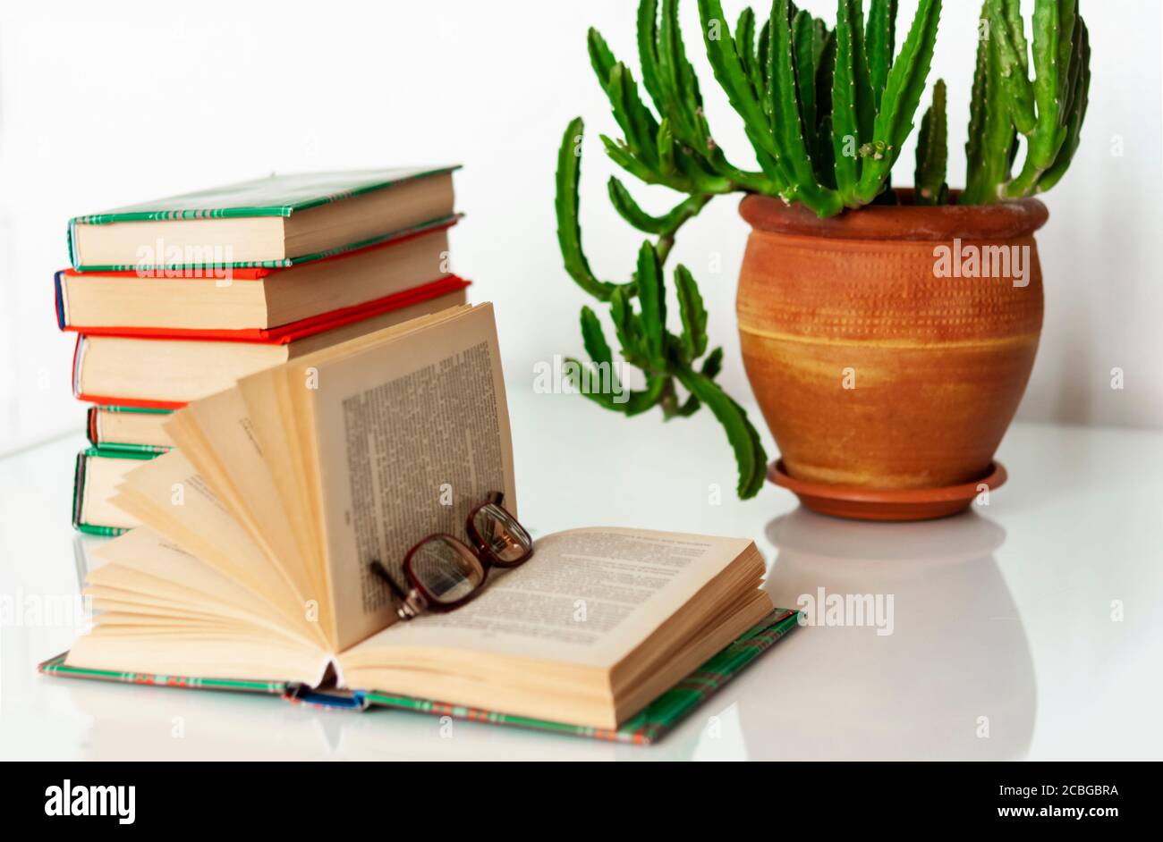 Cozy home interior decor: stack of books, plants in pots, open book on ...