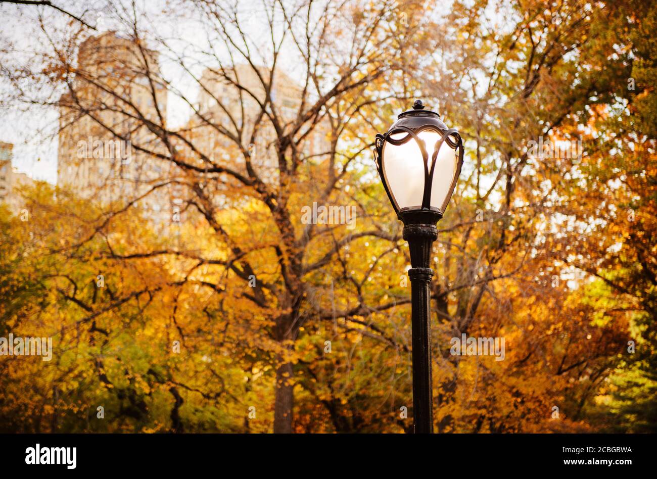 Lamp post detail in Central Park in Autumn, New York City Stock Photo ...