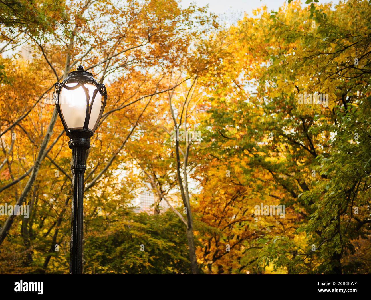 Nyc fall detail hi-res stock photography and images - Alamy
