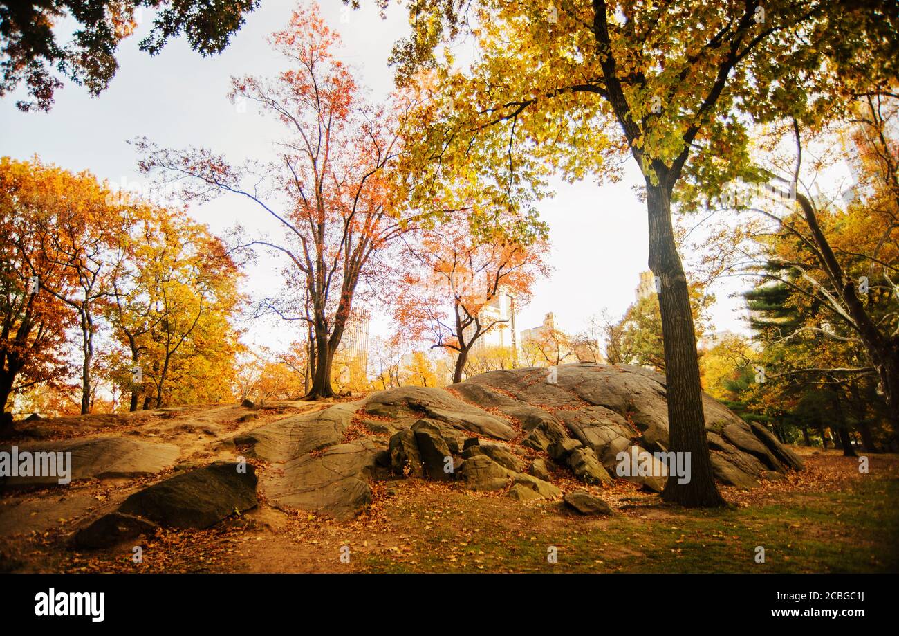 Beautiful autumn in central park hi-res stock photography and images ...