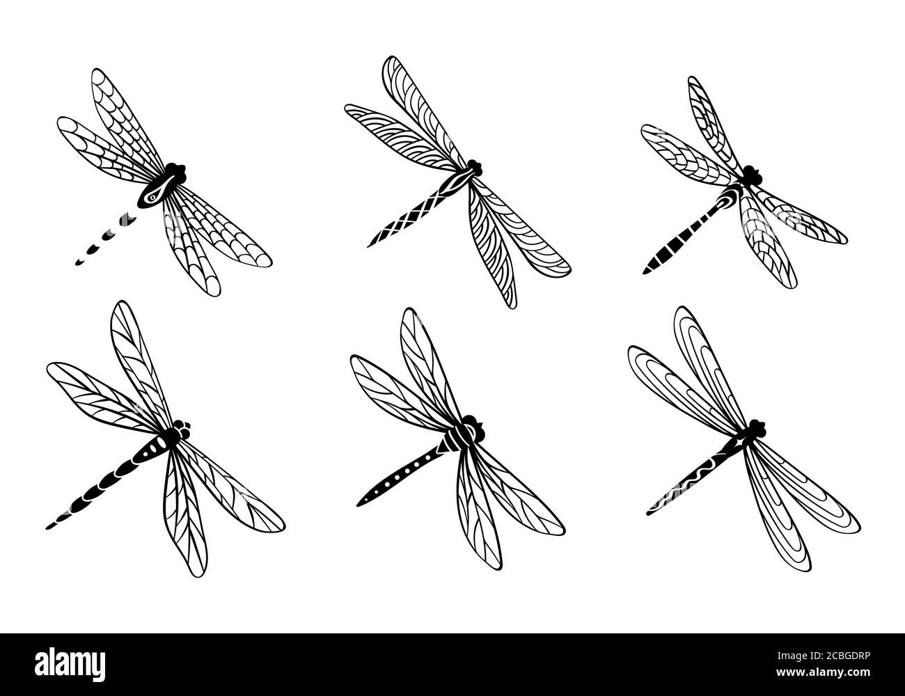 Cute Dragonfly Drawing