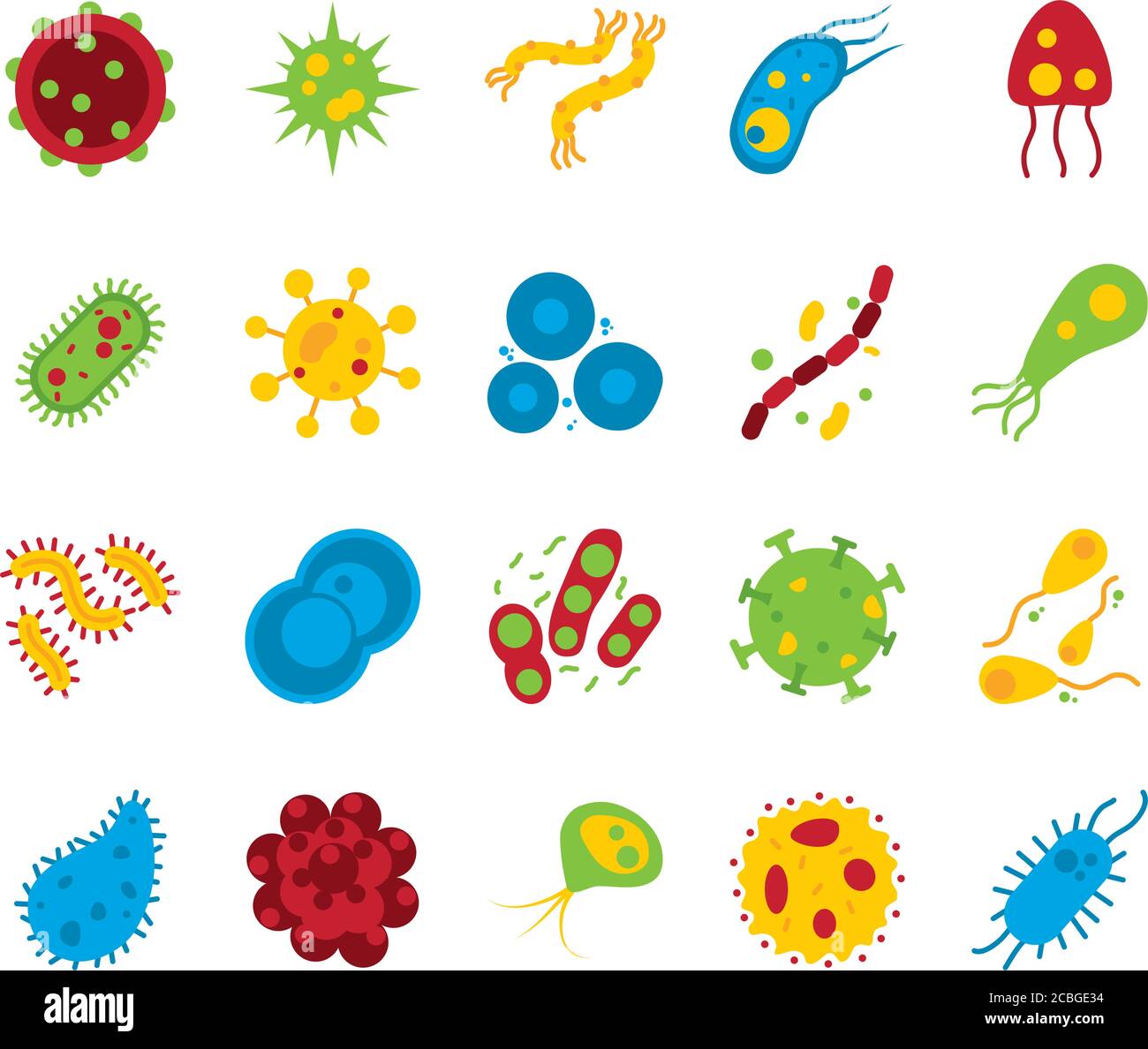 Bacterias ecoli Stock Vector Images - Alamy