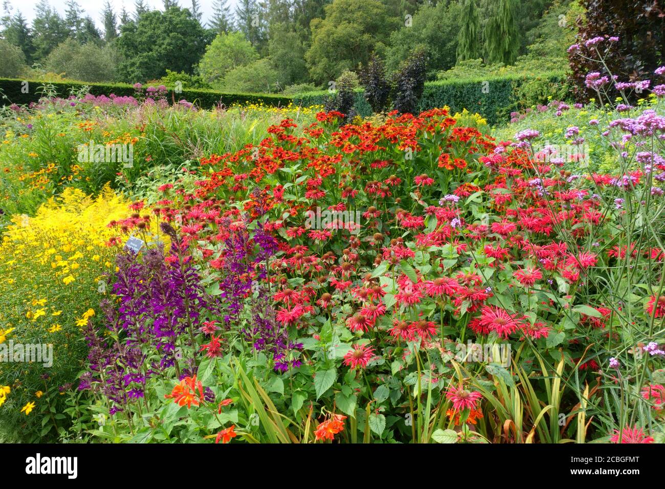 Rosemoor RHS Gardens, "Hot Gardeb", Devon, England, UK Stock Photo - Alamy